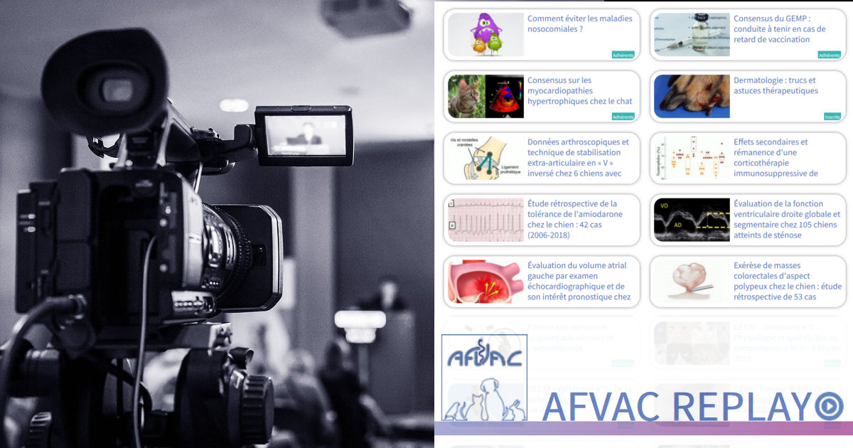 Les formations AFVAC à venir - AFVAC Replay